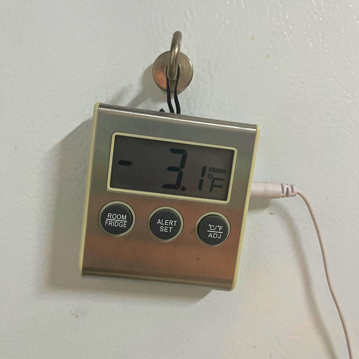 A Freezer Alarm May Save Your Bacon - Forbes Panama