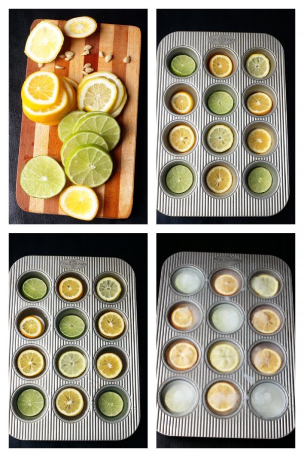 Make Lemon Ice Cubes - Good Cheap Eats Budget Recipes