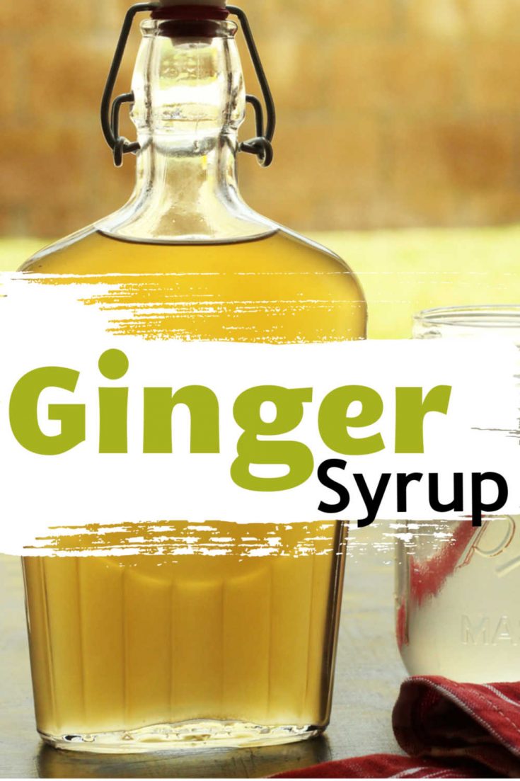 Ginger Syrup Recipe - Good Cheap Eats