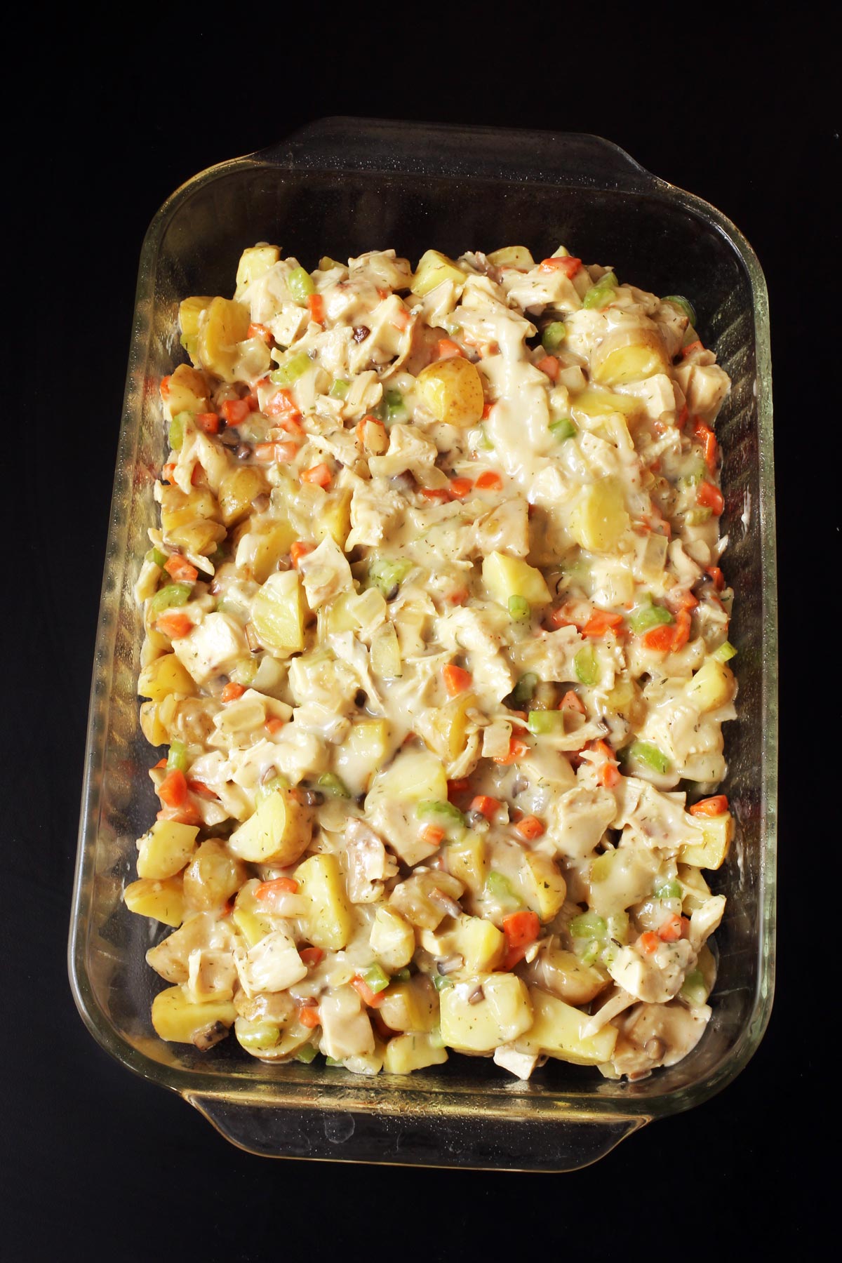 one-crust-chicken-pot-pie-great-use-of-leftovers