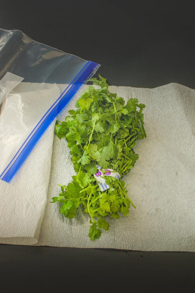 How to Keep Cilantro Fresh - Good Cheap Eats