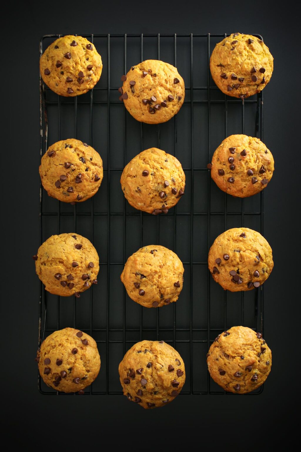 Chocolate Chip Pumpkin Muffins (19 cents each!) - Good Cheap Eats