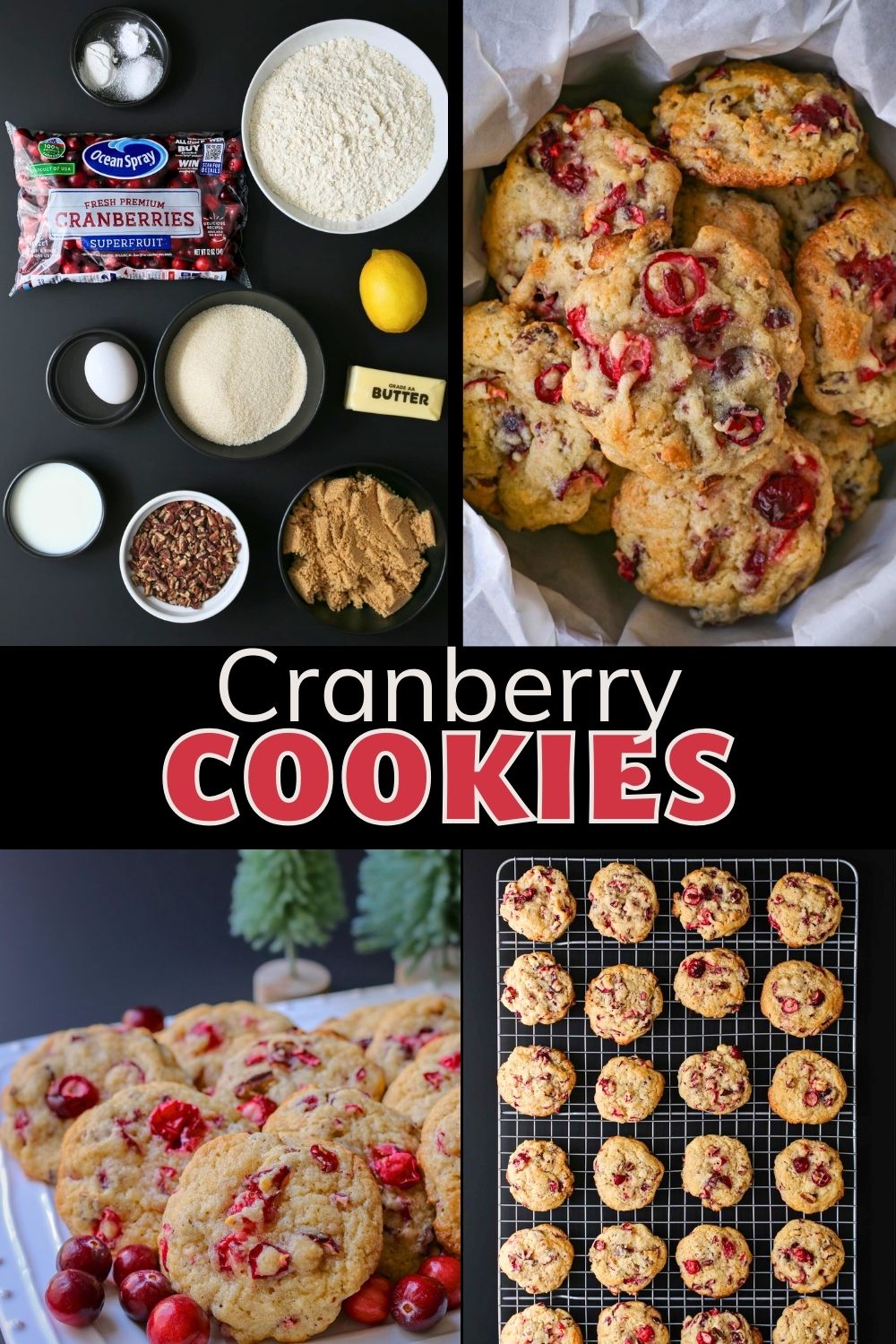 Cranberry Cookies - Good Cheap Eats